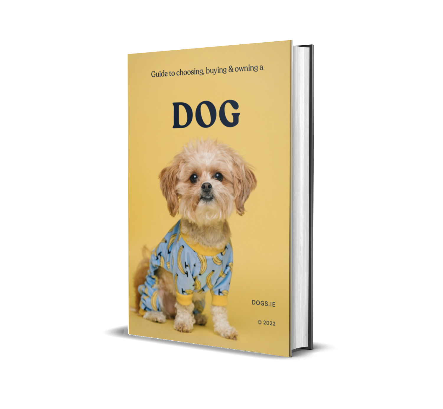 Checking Dog Microchips – Dogs.ie Help